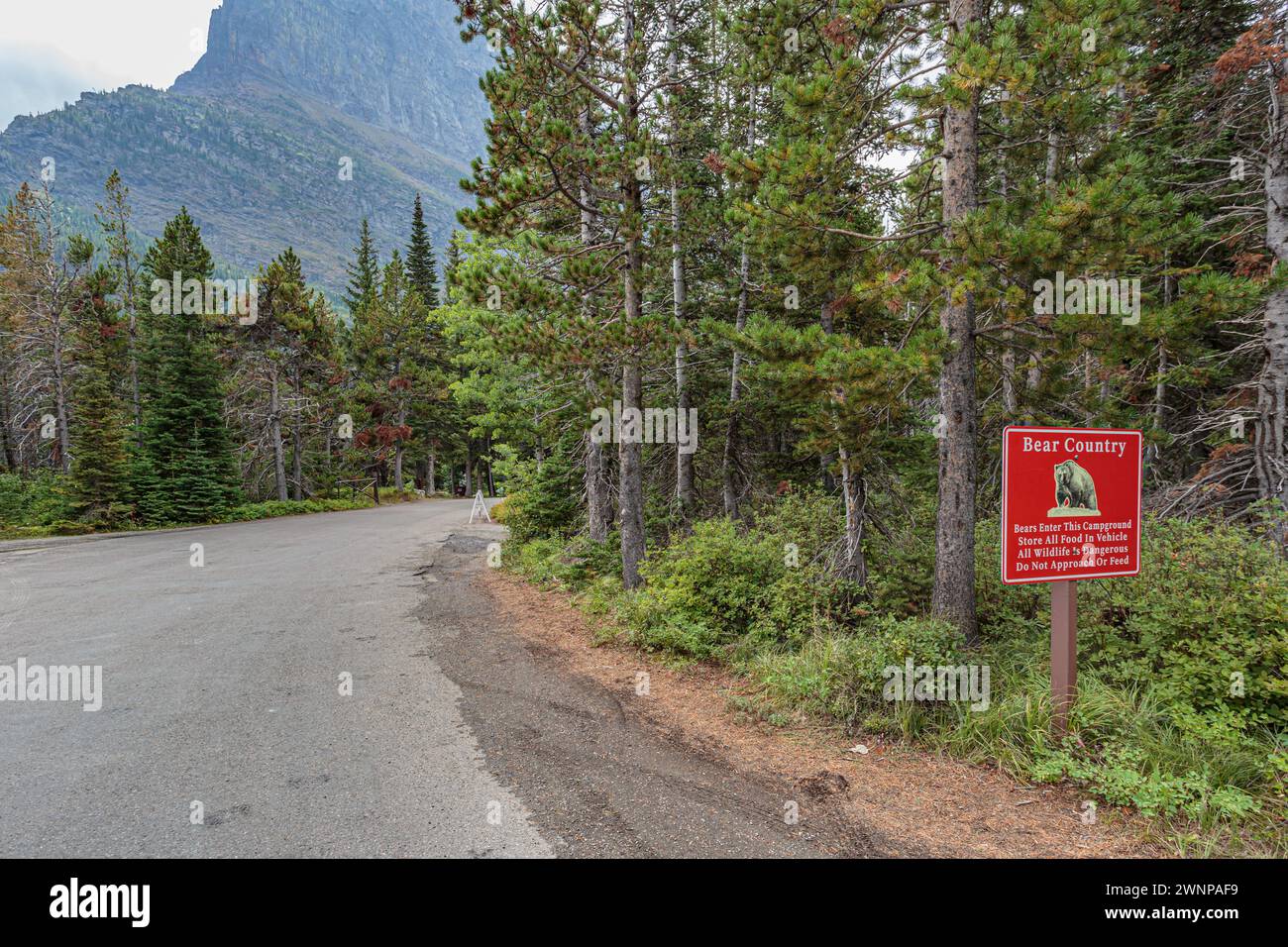 Bear Warning sign along road in a campground at Glacier National Park ...