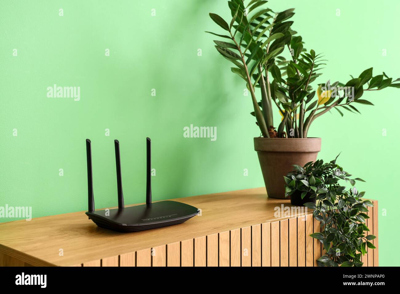 Modern wi-fi router with plants on commode near green wall Stock Photo ...