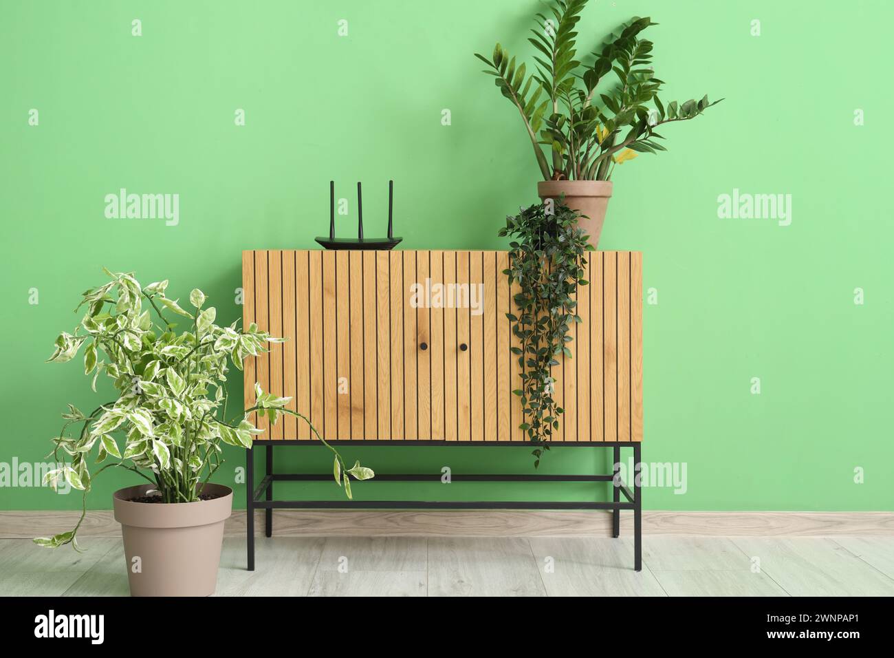 Modern wi-fi router with plants on commode near green wall in room ...