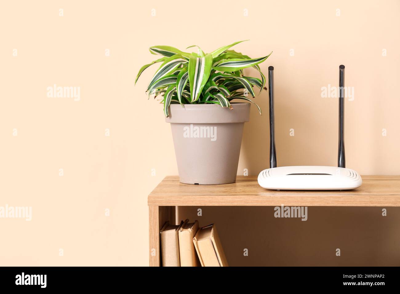 Modern wi-fi router with plant on shelf near beige wall Stock Photo - Alamy