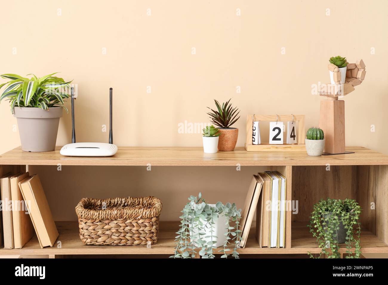 Modern wi-fi router with plants on shelf near beige wall Stock Photo ...