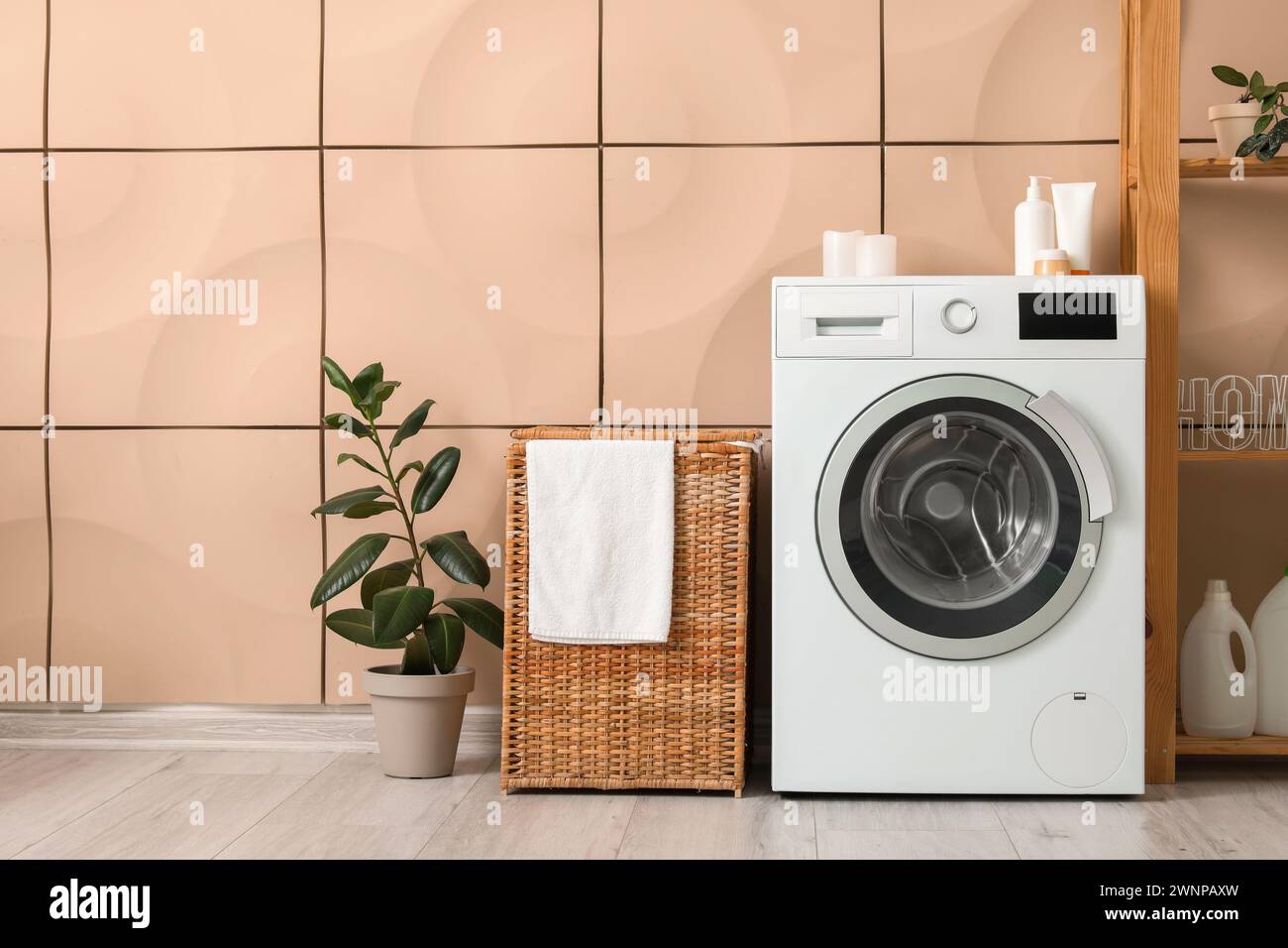 Interior of room with laundry basket, washing machine and plant Stock ...