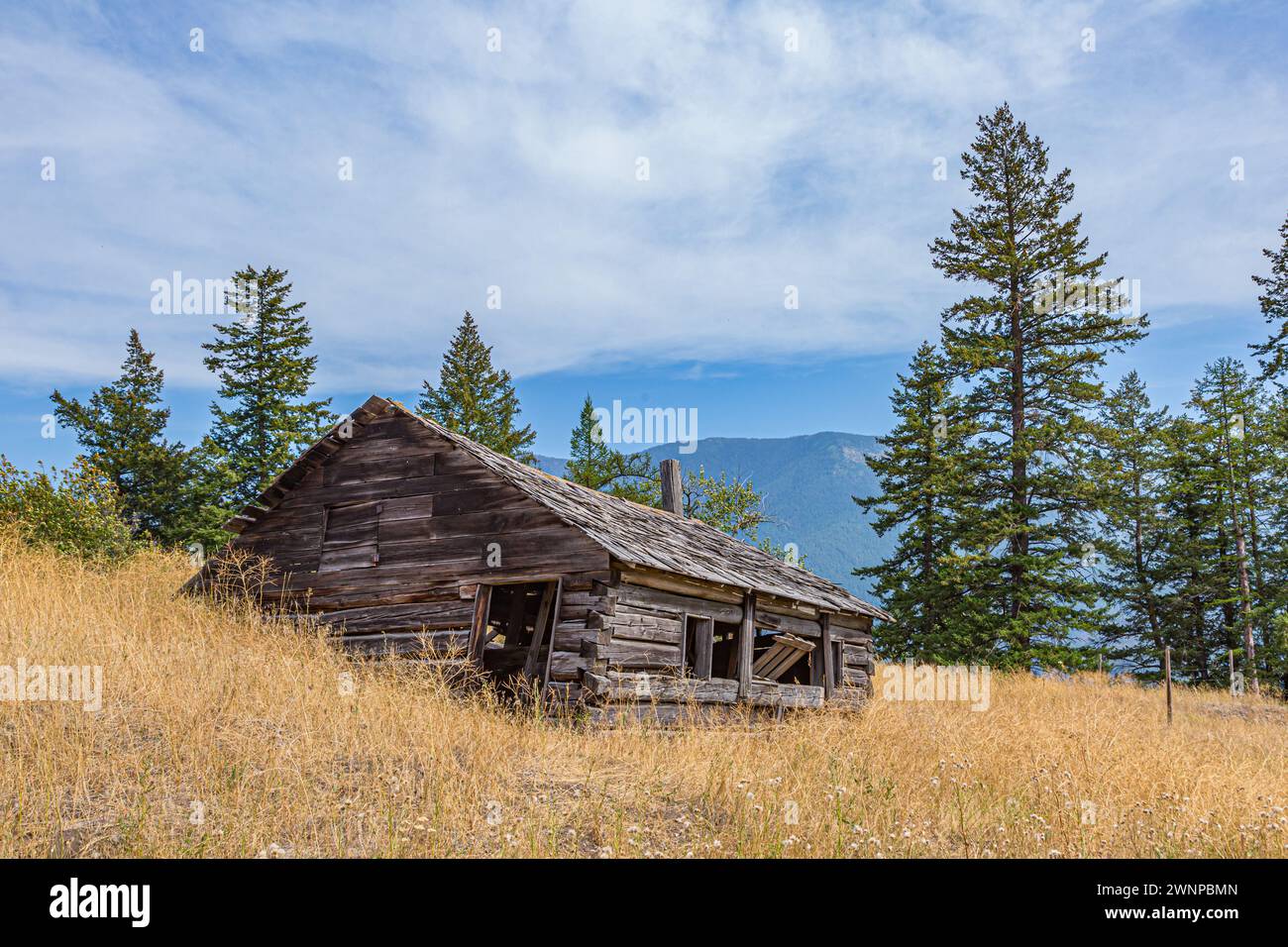 Historic abandoned log cabin in a field of golden grass at Hungry Horse ...