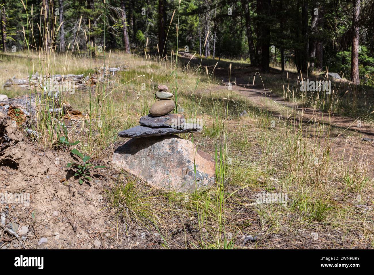 Stacked rocks form a cairn along the Rattlesnake Trail in Missoula ...