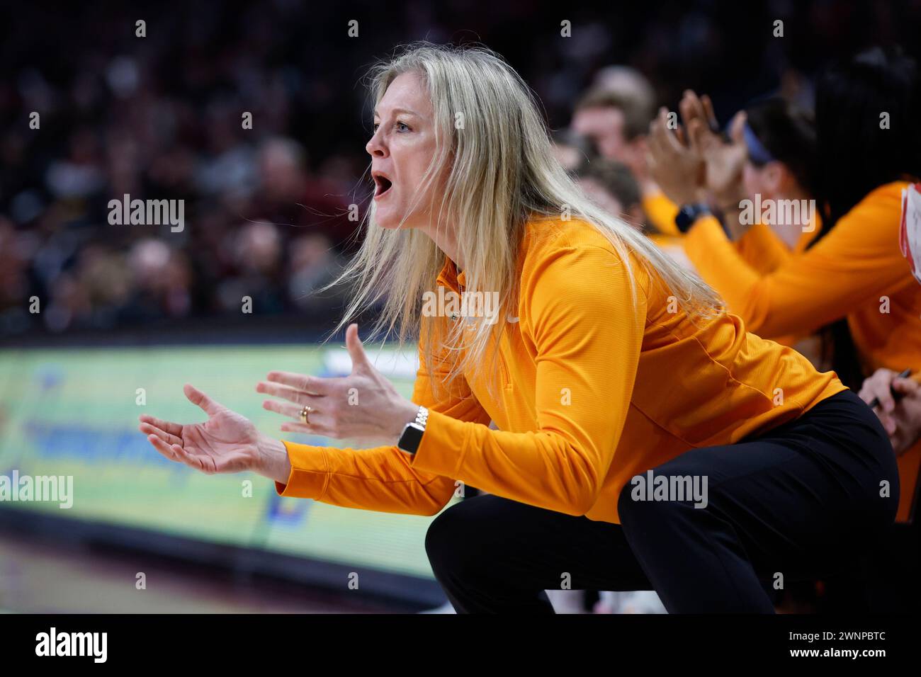 Tennessee head coach Kellie Harper encourages her team against South ...