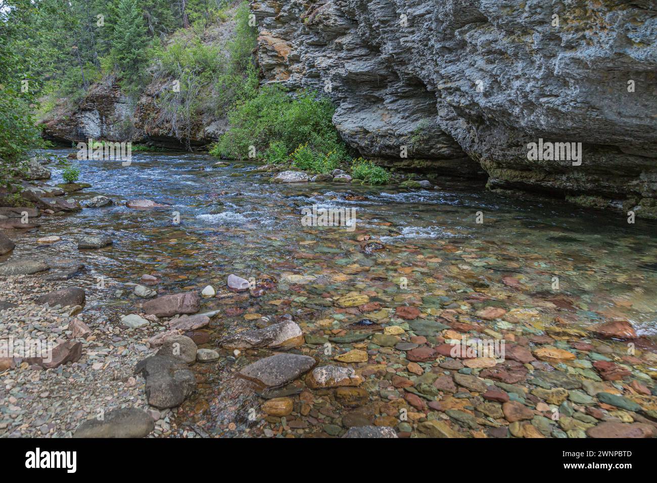 Crystal clear water of Rattlesnake Creek winds through the Lolo ...