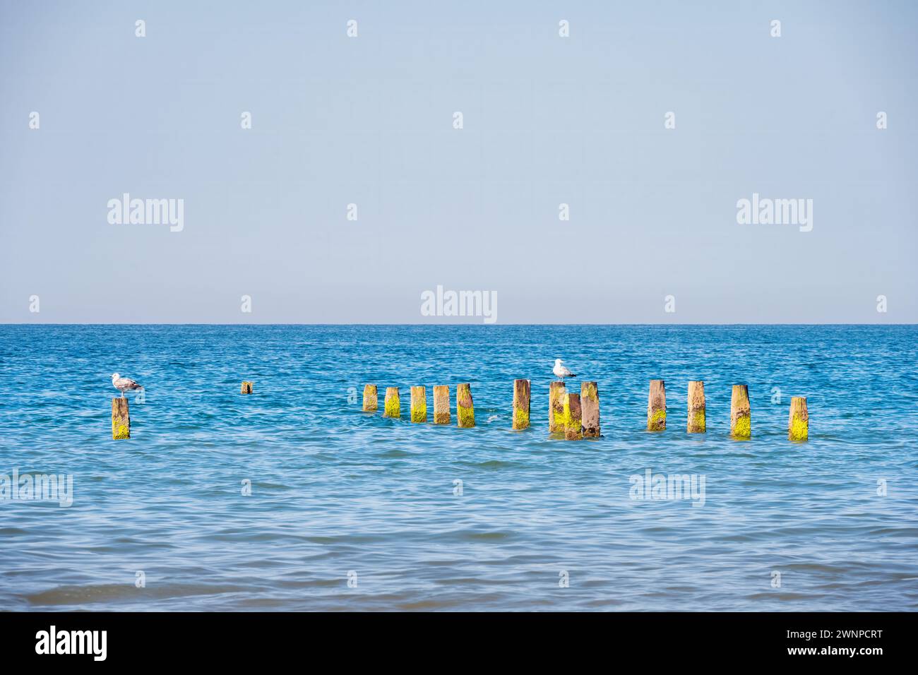 Groynes in the sea norfolk hi-res stock photography and images - Alamy