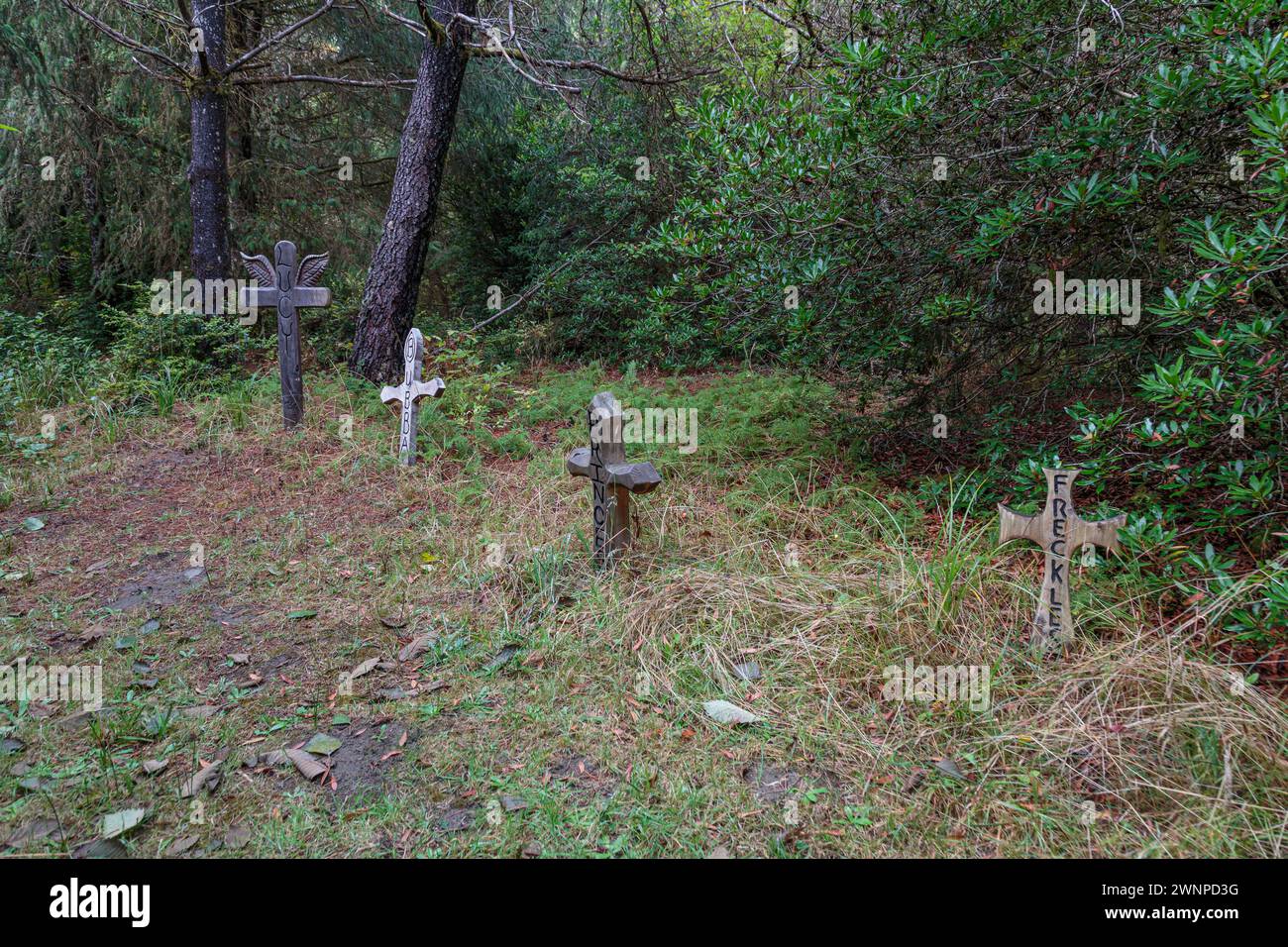 Lucy pet hi-res stock photography and images - Alamy