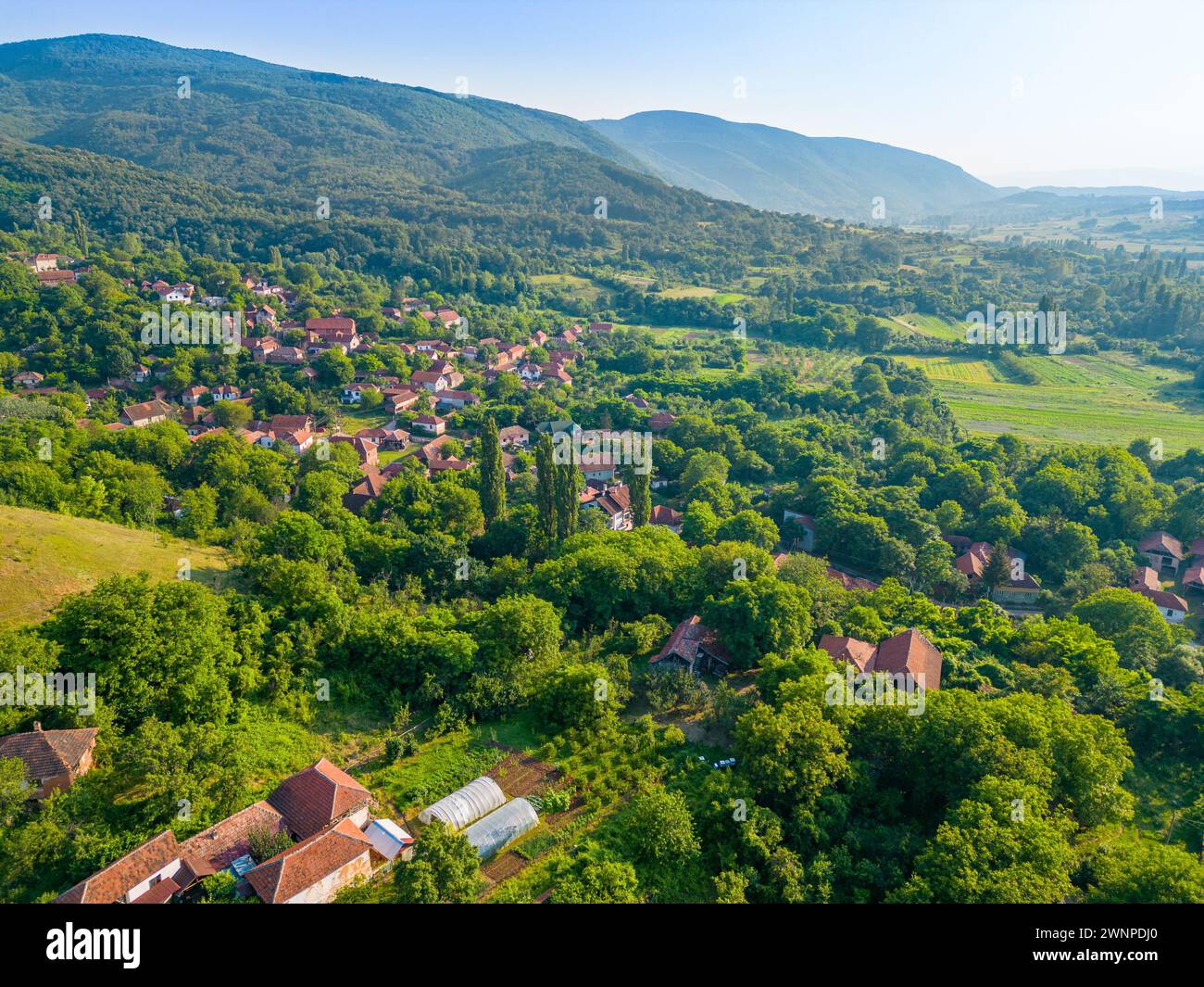 Popsica hi-res stock photography and images - Alamy