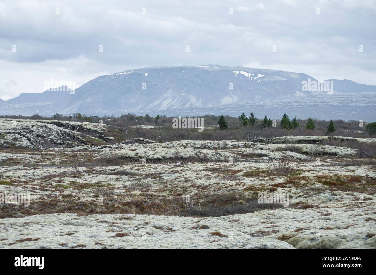 Visible Tectonic plates in Thingvellir National Park- UNESCO World ...