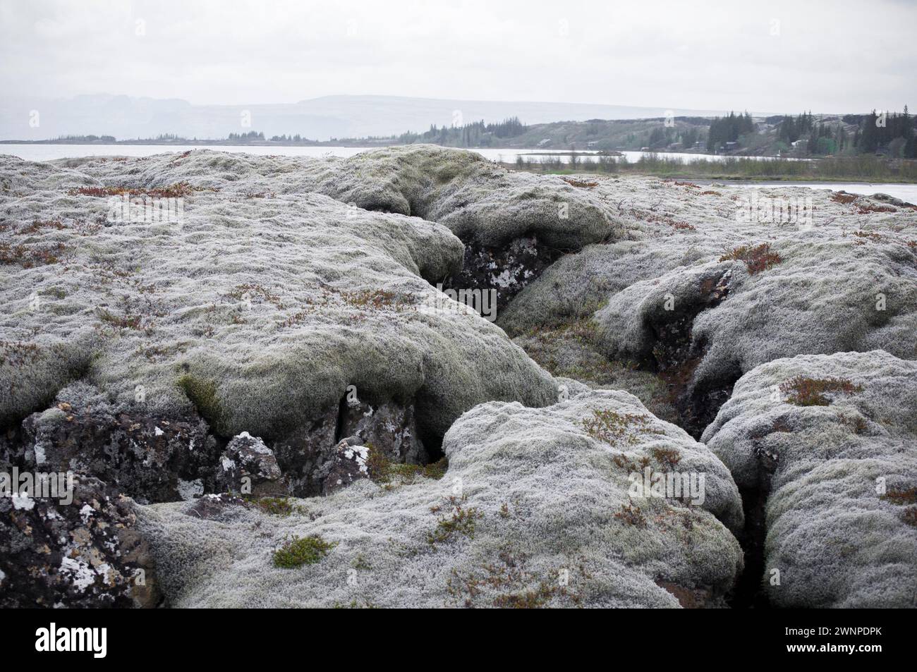 Visible Tectonic plates in Thingvellir National Park- UNESCO World ...