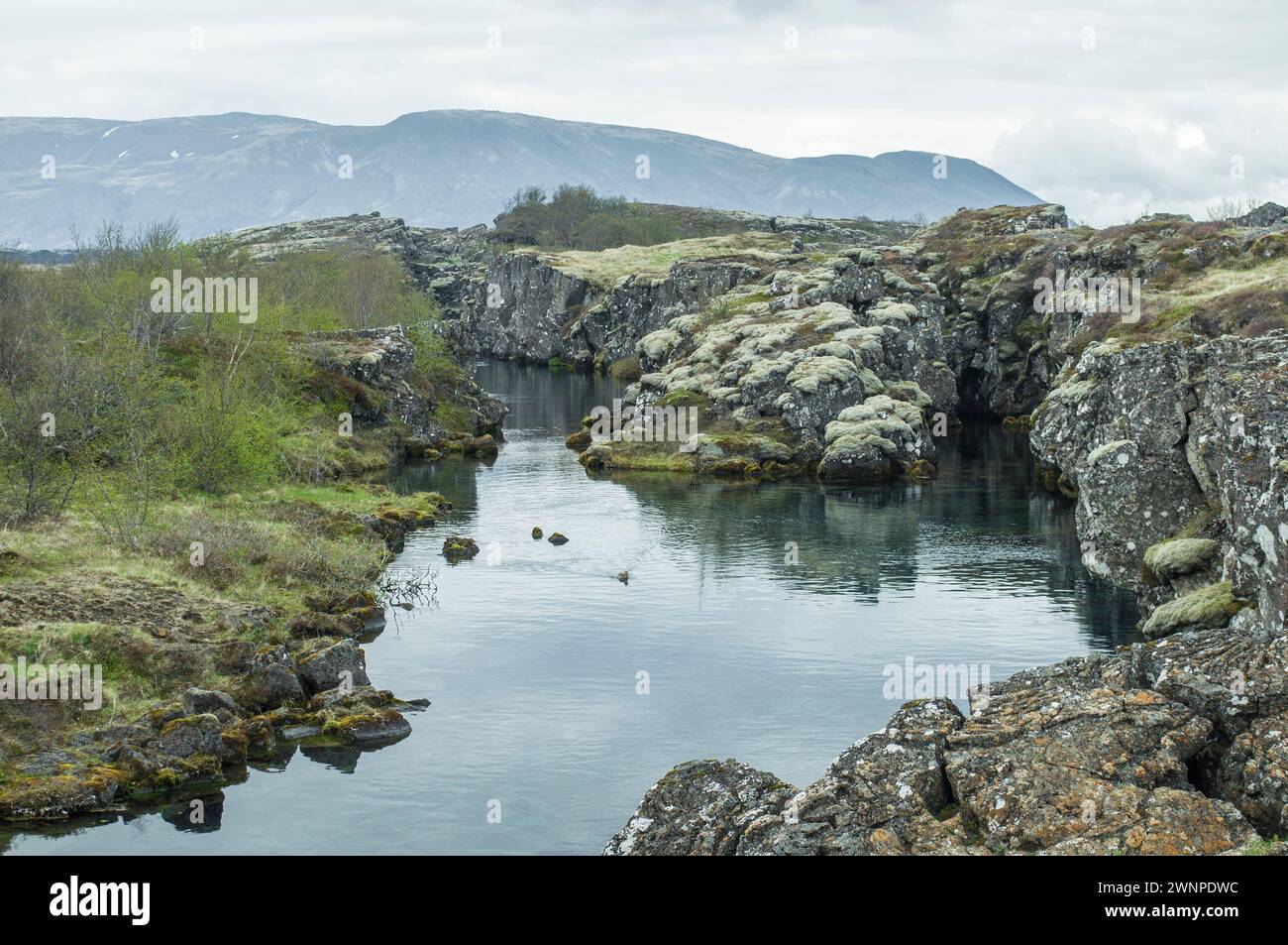 Visible Tectonic plates in Thingvellir National Park- UNESCO World ...