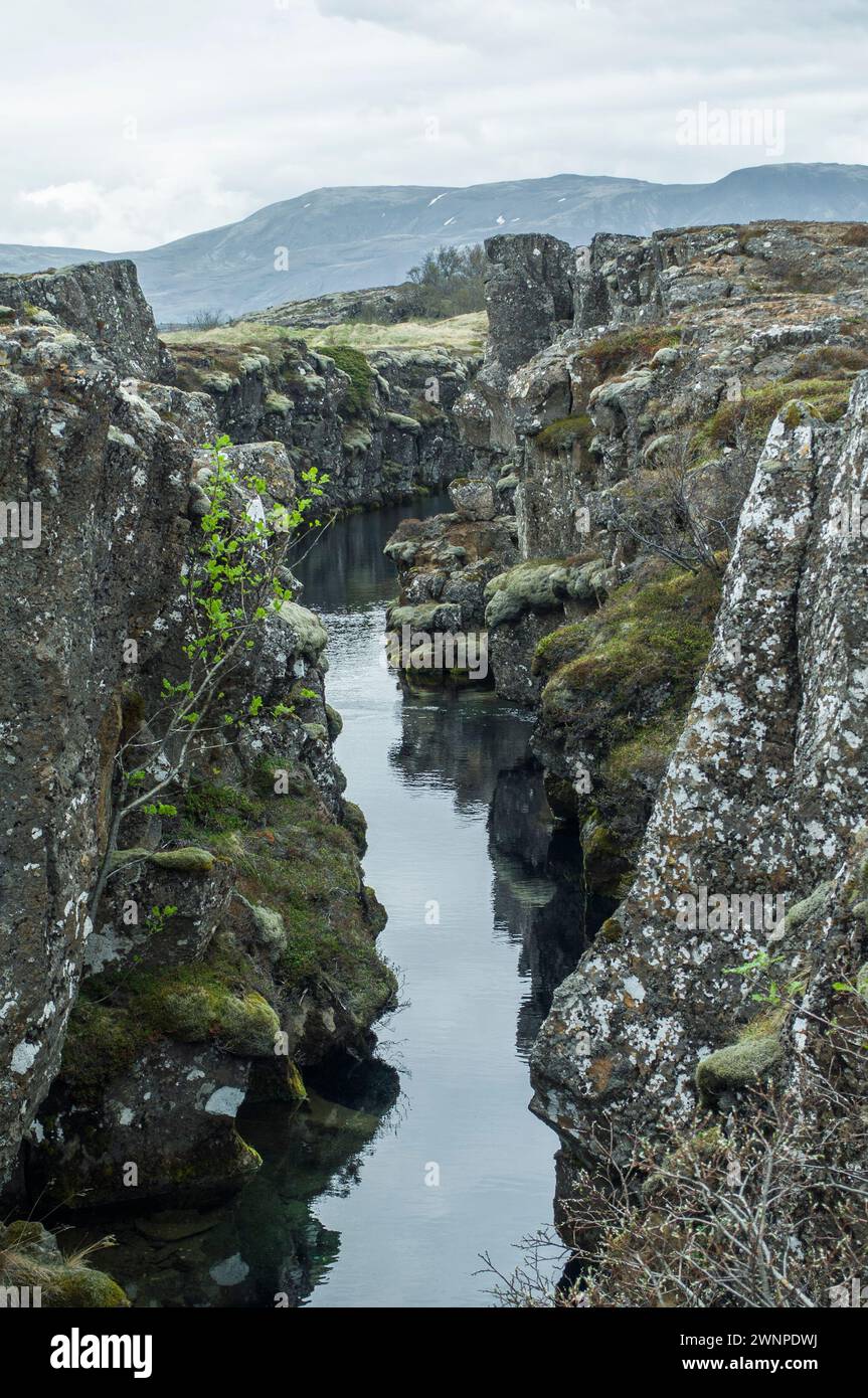 Visible Tectonic plates in Thingvellir National Park- UNESCO World ...