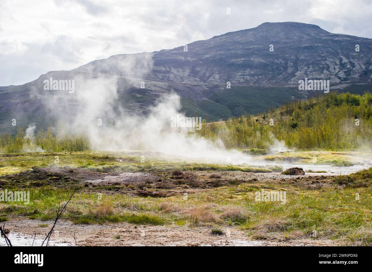 Geysir geothermal area - Haukadalur valley Stock Photo - Alamy