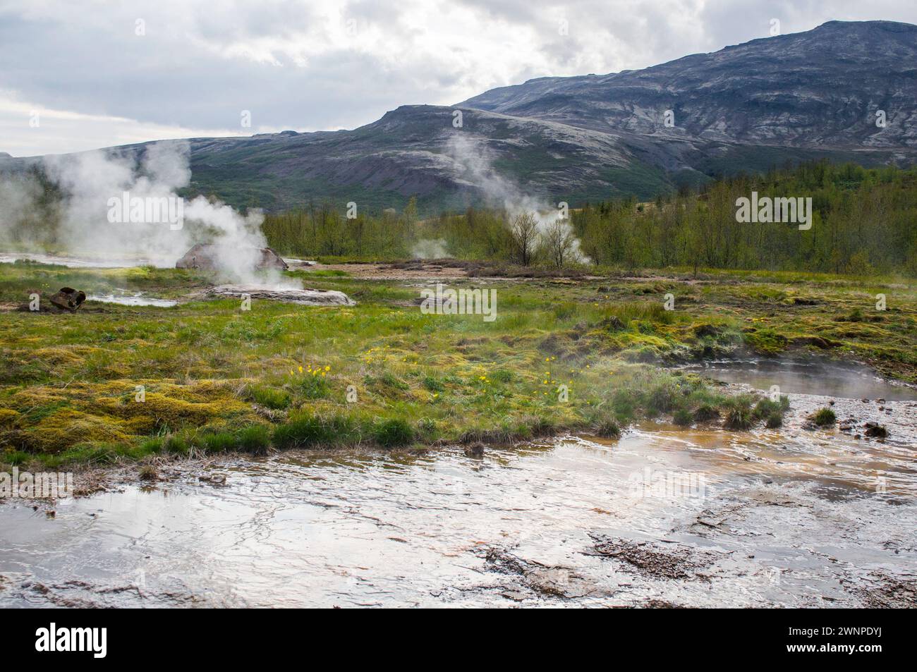 Geysir geothermal area - Haukadalur valley Stock Photo - Alamy