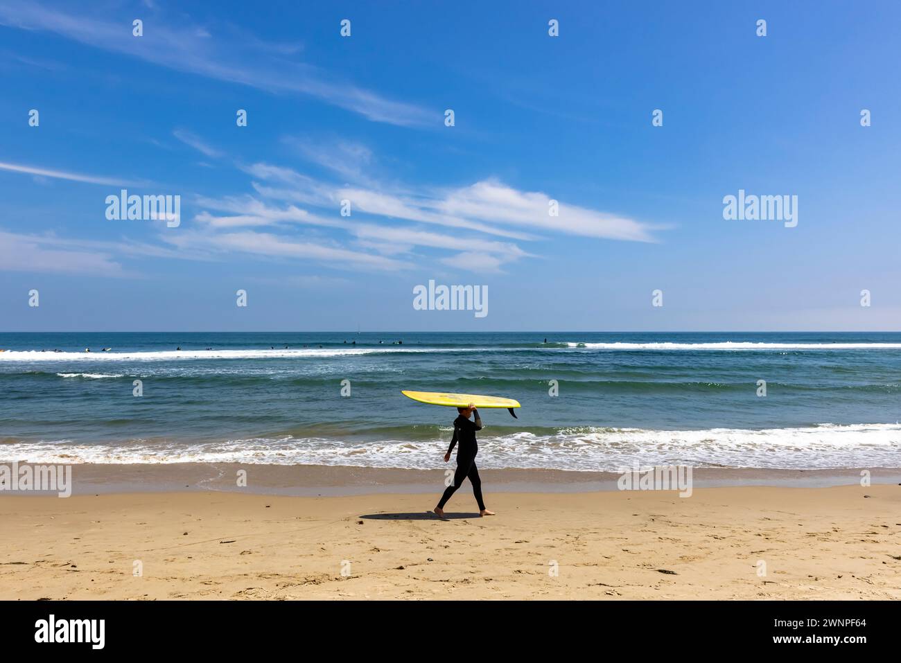 A surfer walks with his board along Surfrider Beach in Malibu ...