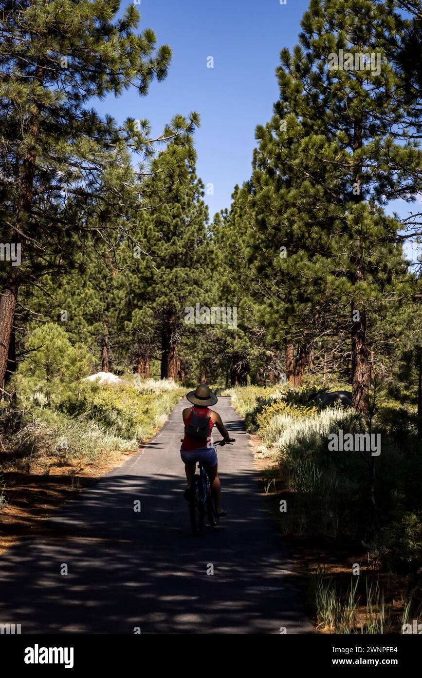 The Mammoth Lakes Town Loop path meanders through meadows and through ...