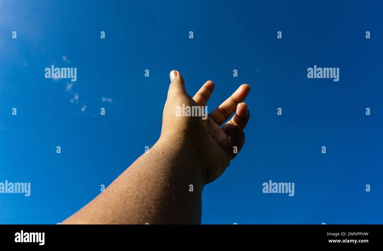 Reaching out to the sky. Against the backdrop of a bright blue sky in ...