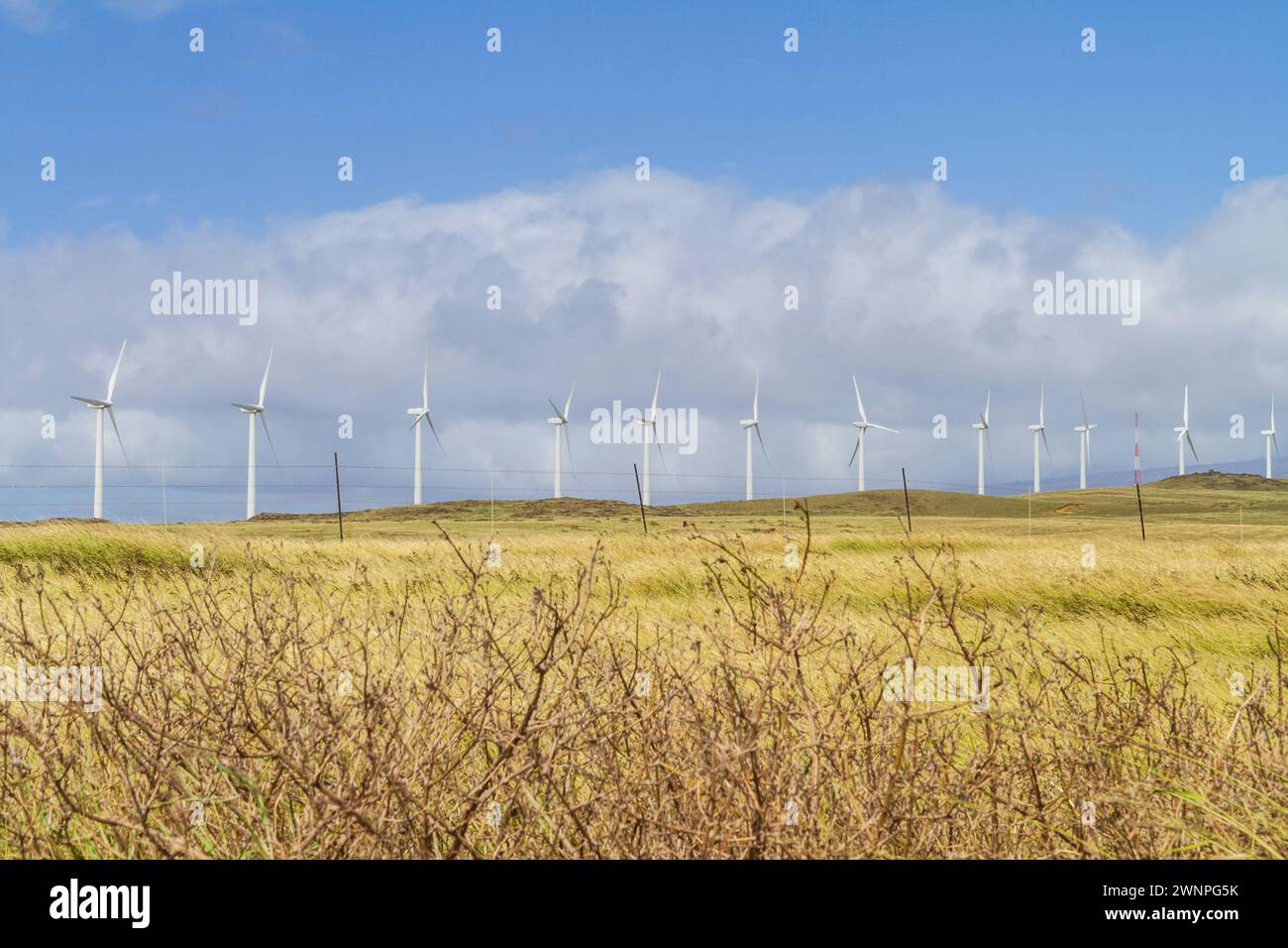 Tawhiri power llc hi-res stock photography and images - Alamy