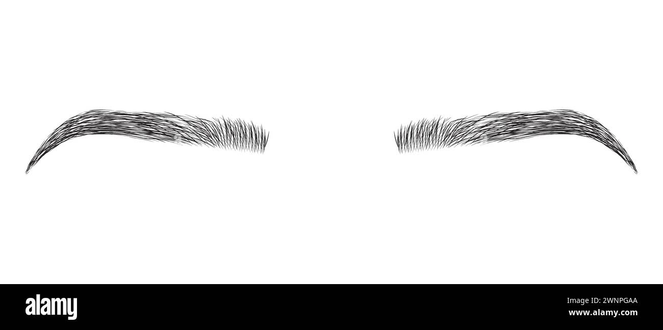 Female Eyebrows Or Brows Isolated on White Background Stock Vector ...