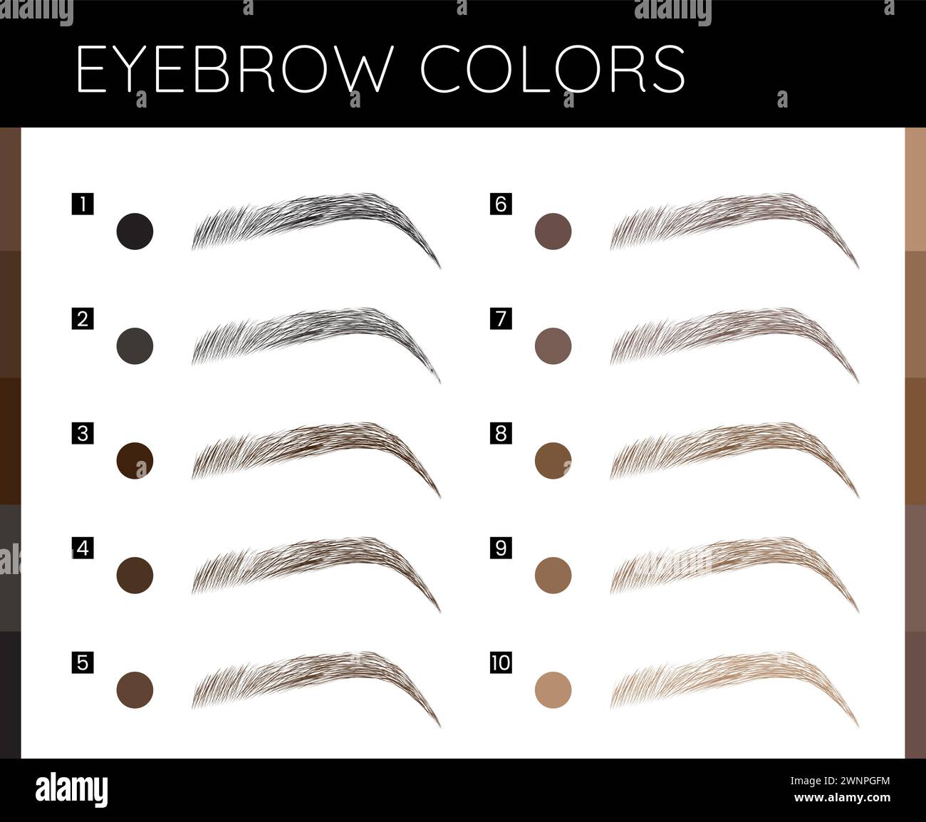 Eyebrows Colors Make Up Illustration Stock Vector Image & Art - Alamy