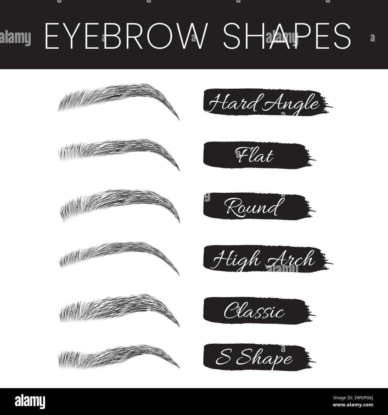 Eyebrow types hi-res stock photography and images - Alamy