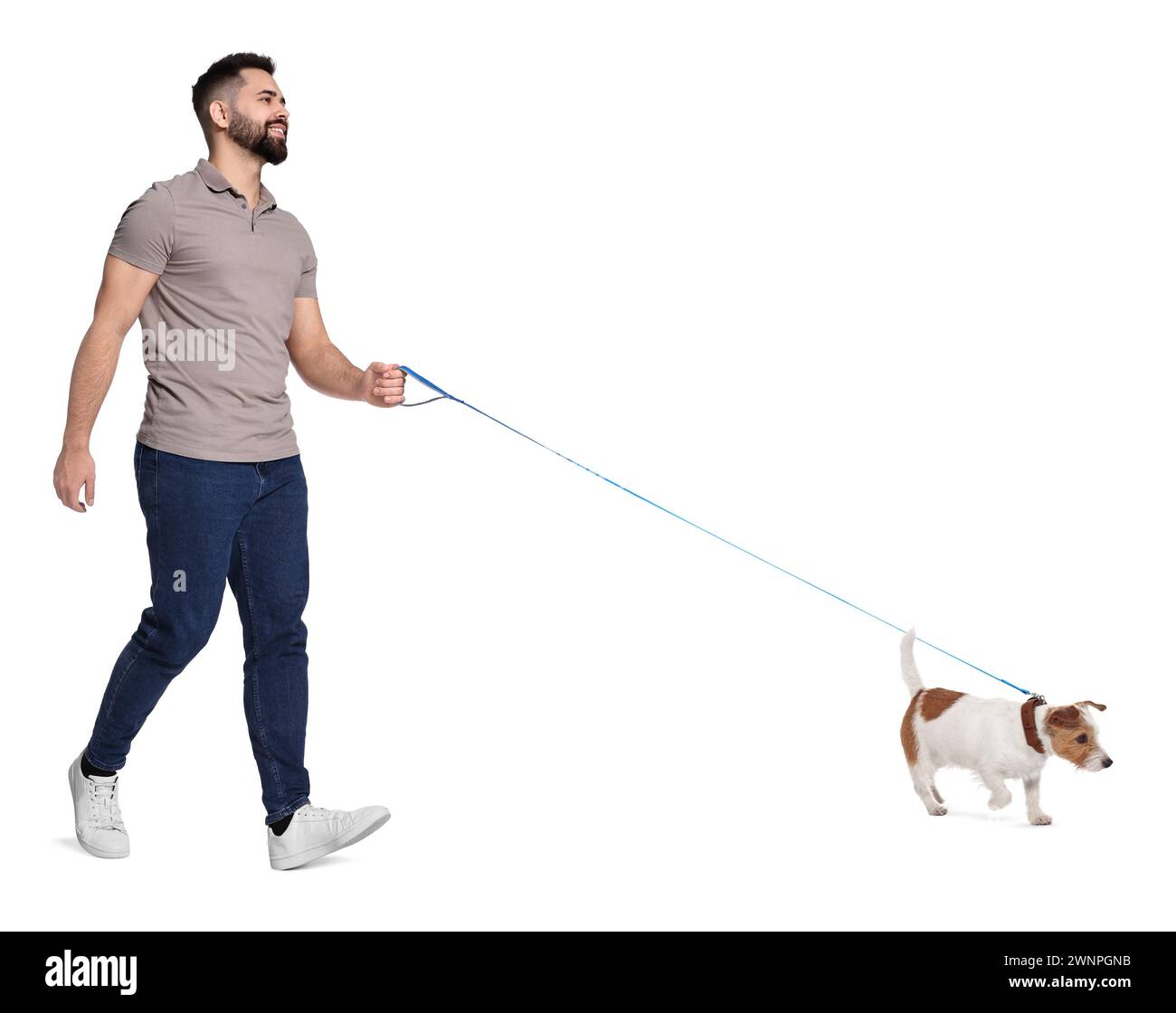 Smiling man walking with dog on white background Stock Photo - Alamy