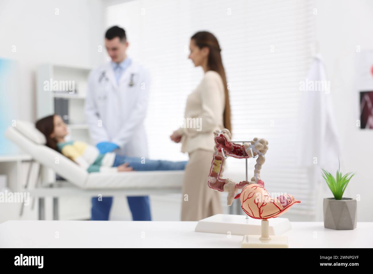 Gastroenterologist examining girl in clinic, focus on models of stomach ...