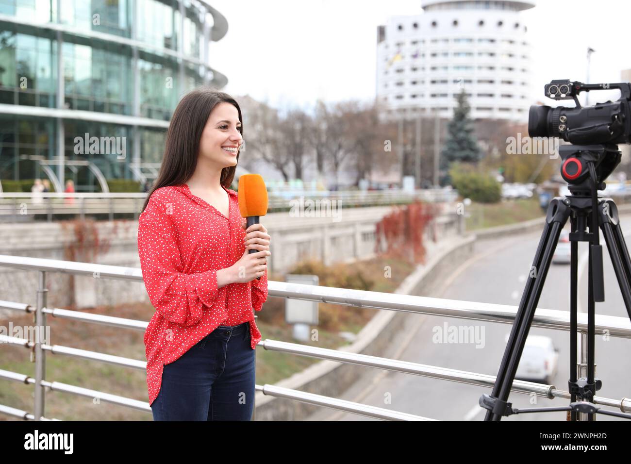 Young female journalist with microphone working on city street Stock ...