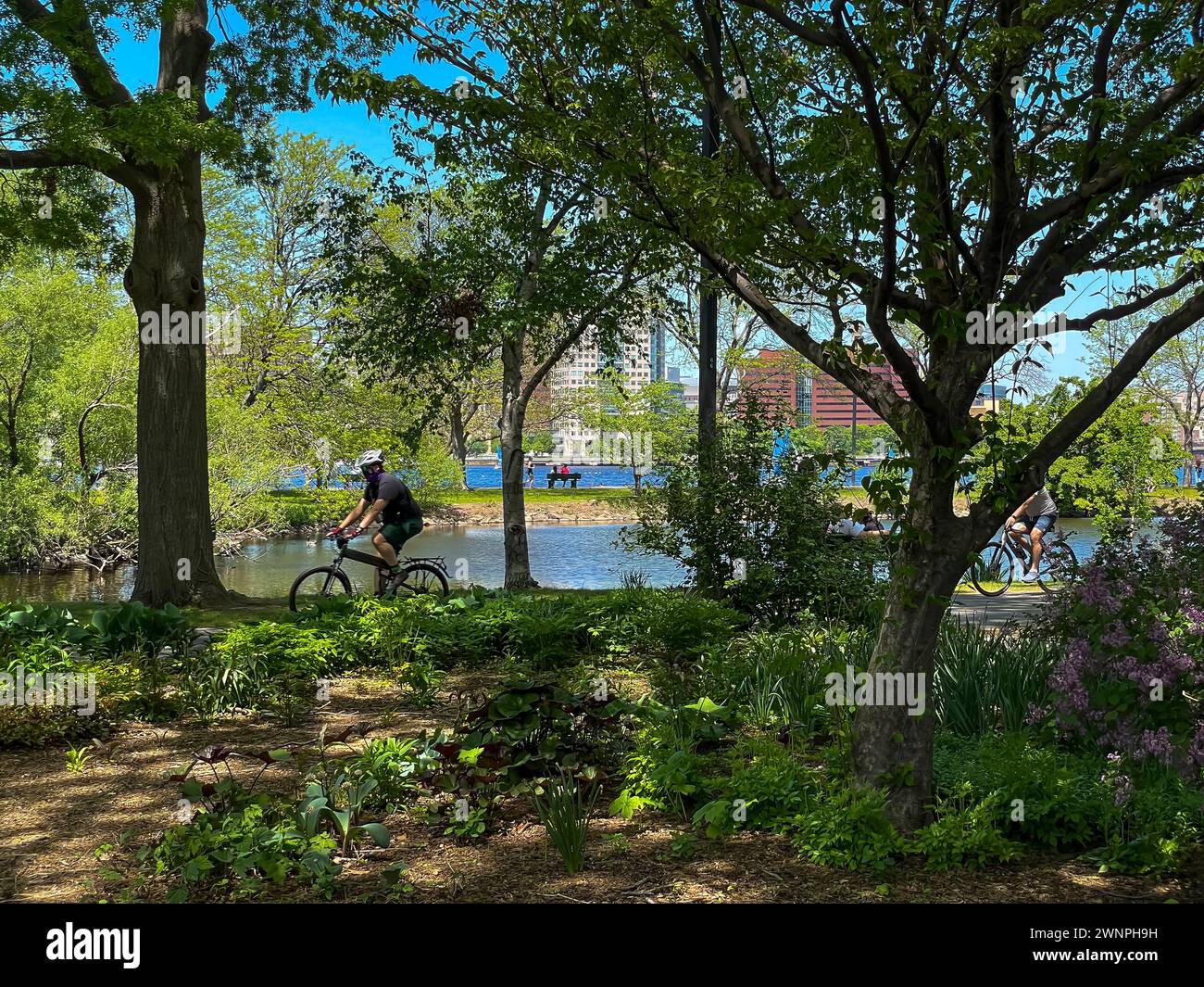 Bike charles river boston massachusetts hi-res stock photography and ...