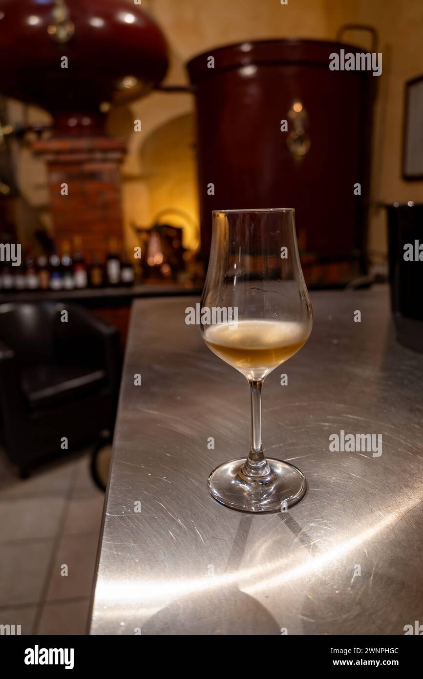 Tasting of cognac spirit aged in old dark French oak barrels in cellar ...