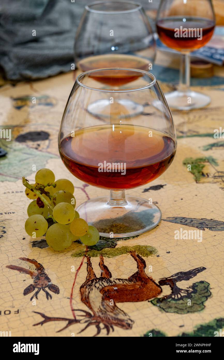 Cognac region tasting france hi-res stock photography and images - Alamy