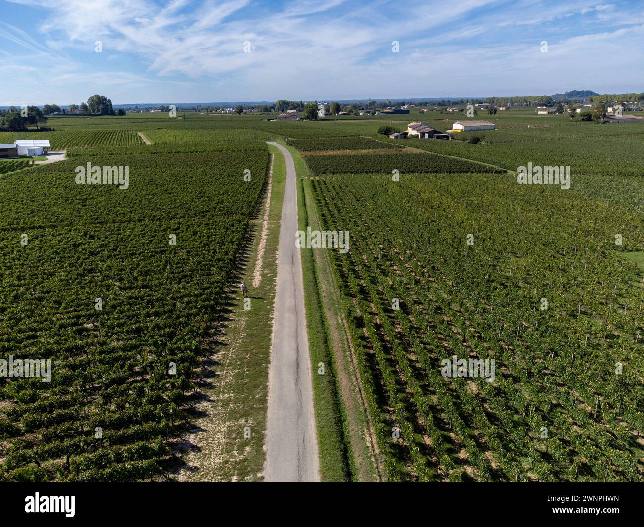 Aerial view on Pomerol village, production of red Bordeaux wine, Merlot ...