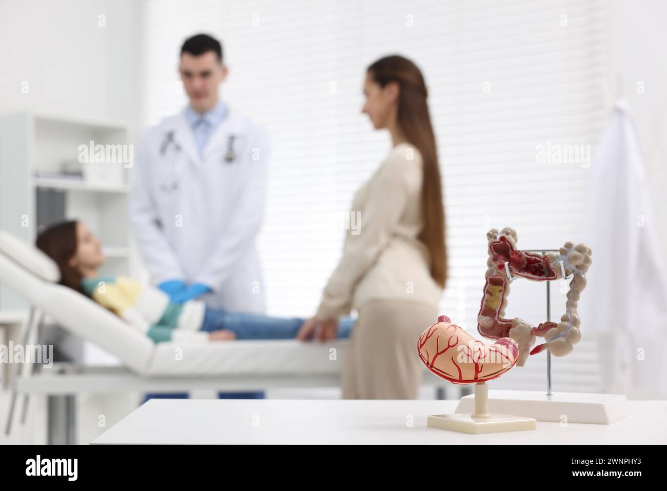 Gastroenterologist examining girl in clinic, focus on models of stomach ...