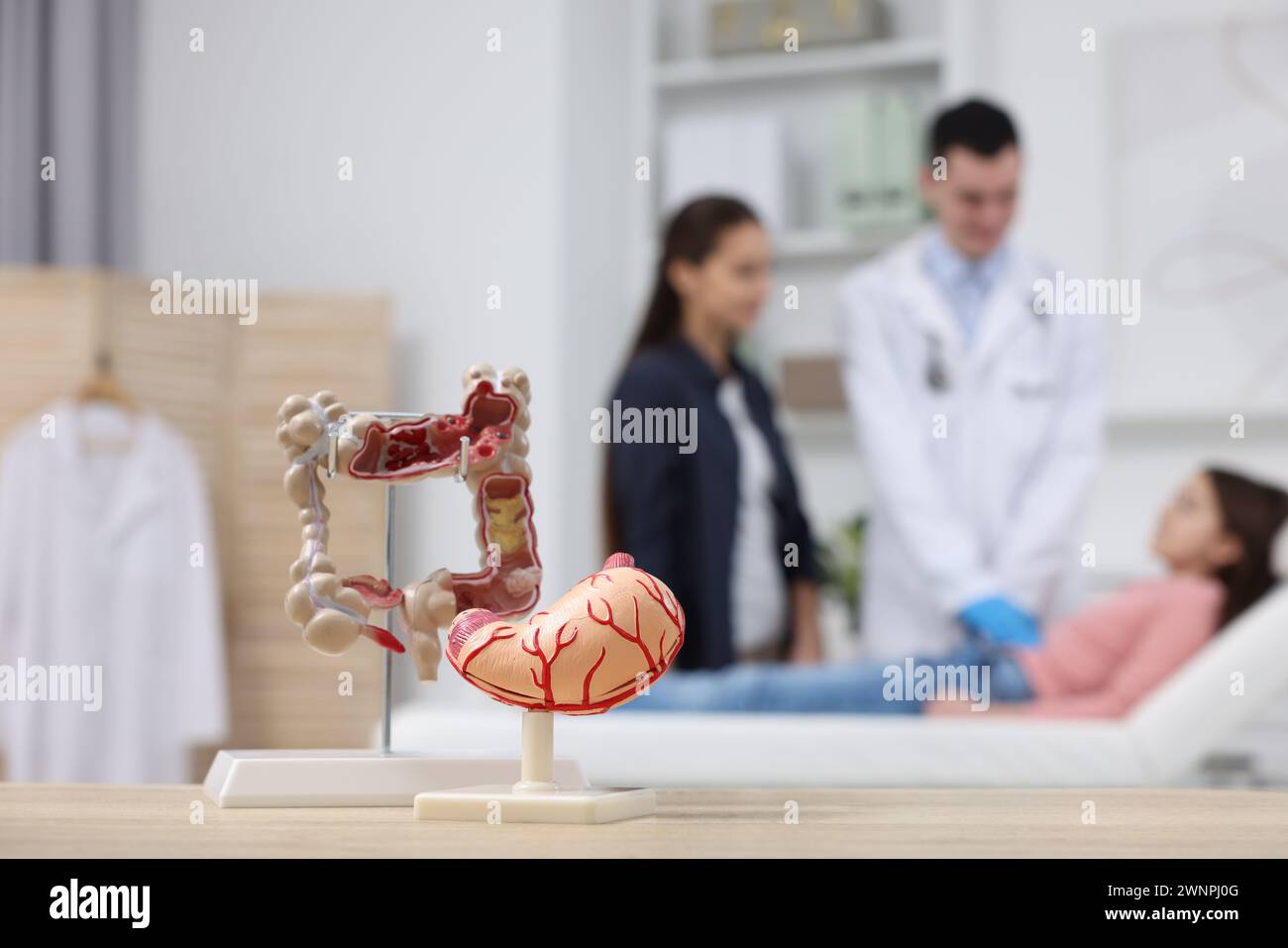 Gastroenterologist examining girl in clinic, focus on models of stomach ...