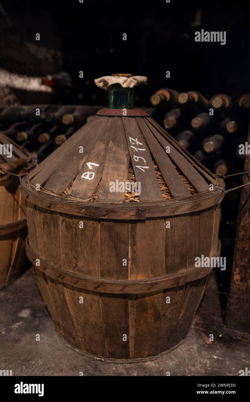 Aging process of cognac spirit in old dark French oak barrels in cellar ...