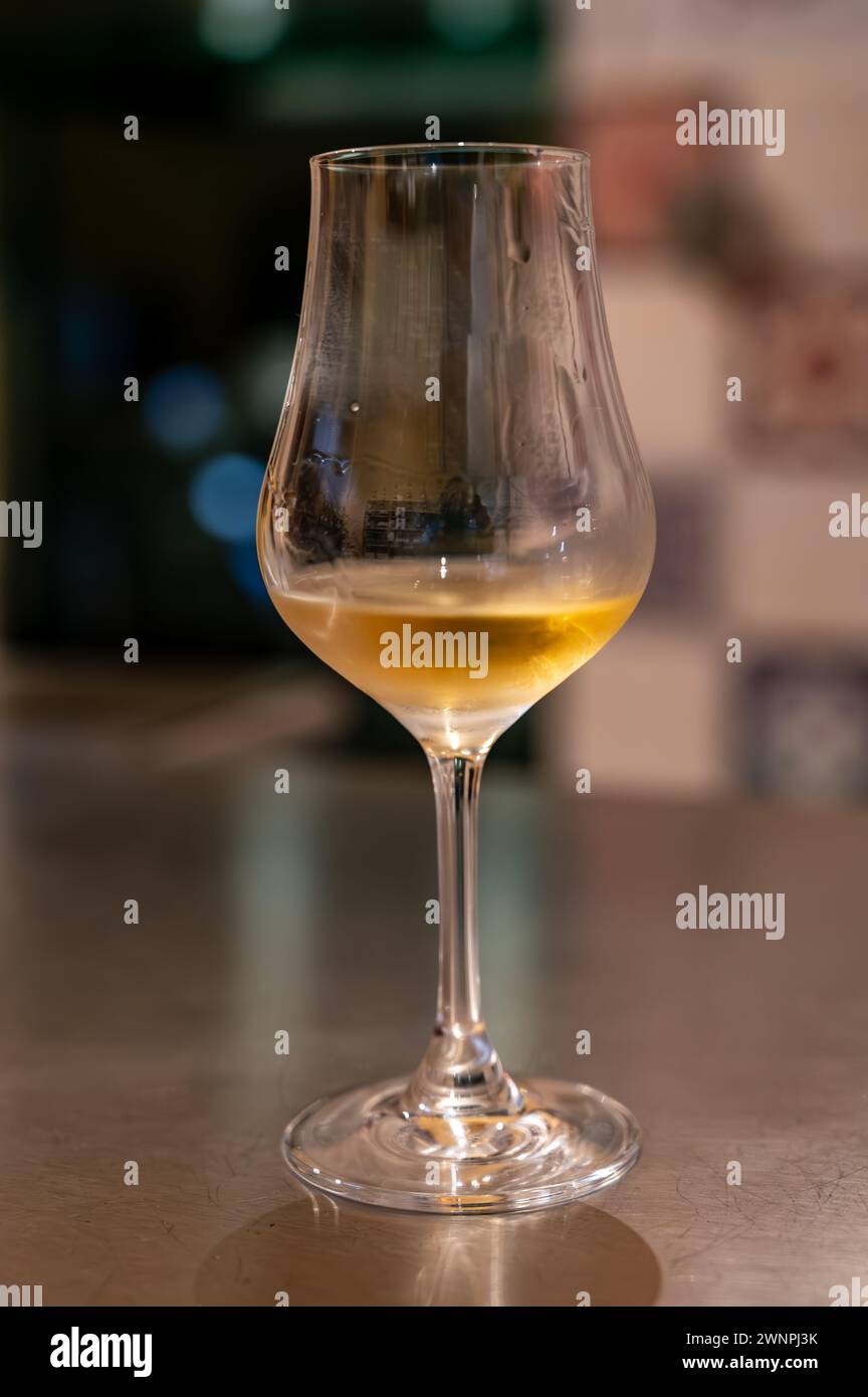 Tasting of cognac spirit aged in old dark French oak barrels in cellar ...