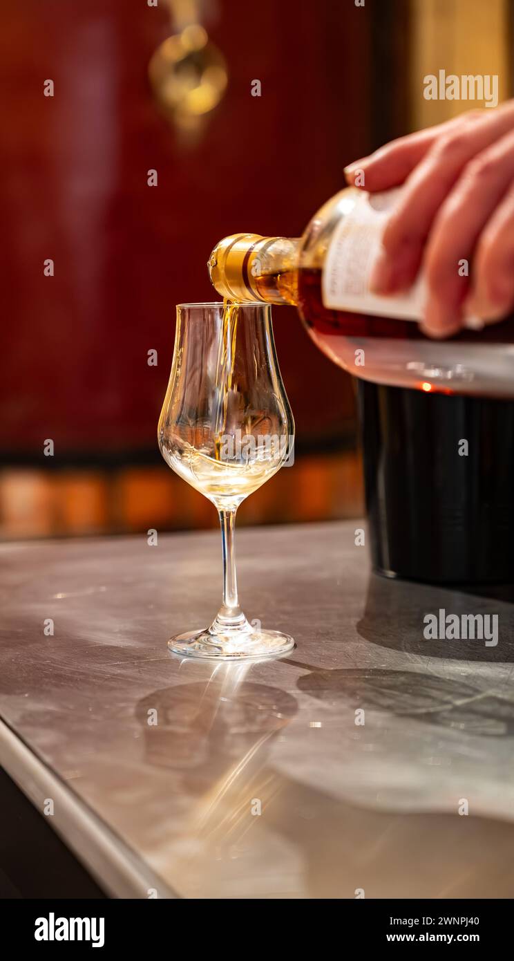 Tasting of cognac spirit aged in old dark French oak barrels in cellar ...