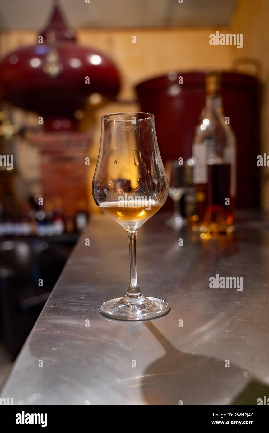 Tasting of cognac spirit aged in old dark French oak barrels in cellar ...