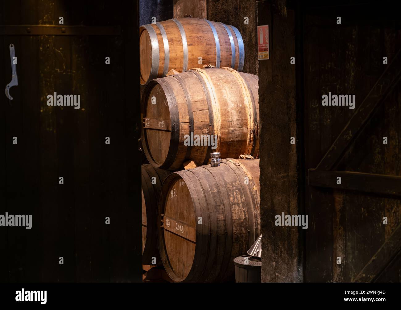 Aging process of cognac spirit in old dark French oak barrels in cellar ...