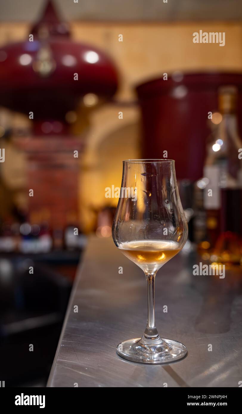 Tasting of cognac spirit aged in old dark French oak barrels in cellar ...