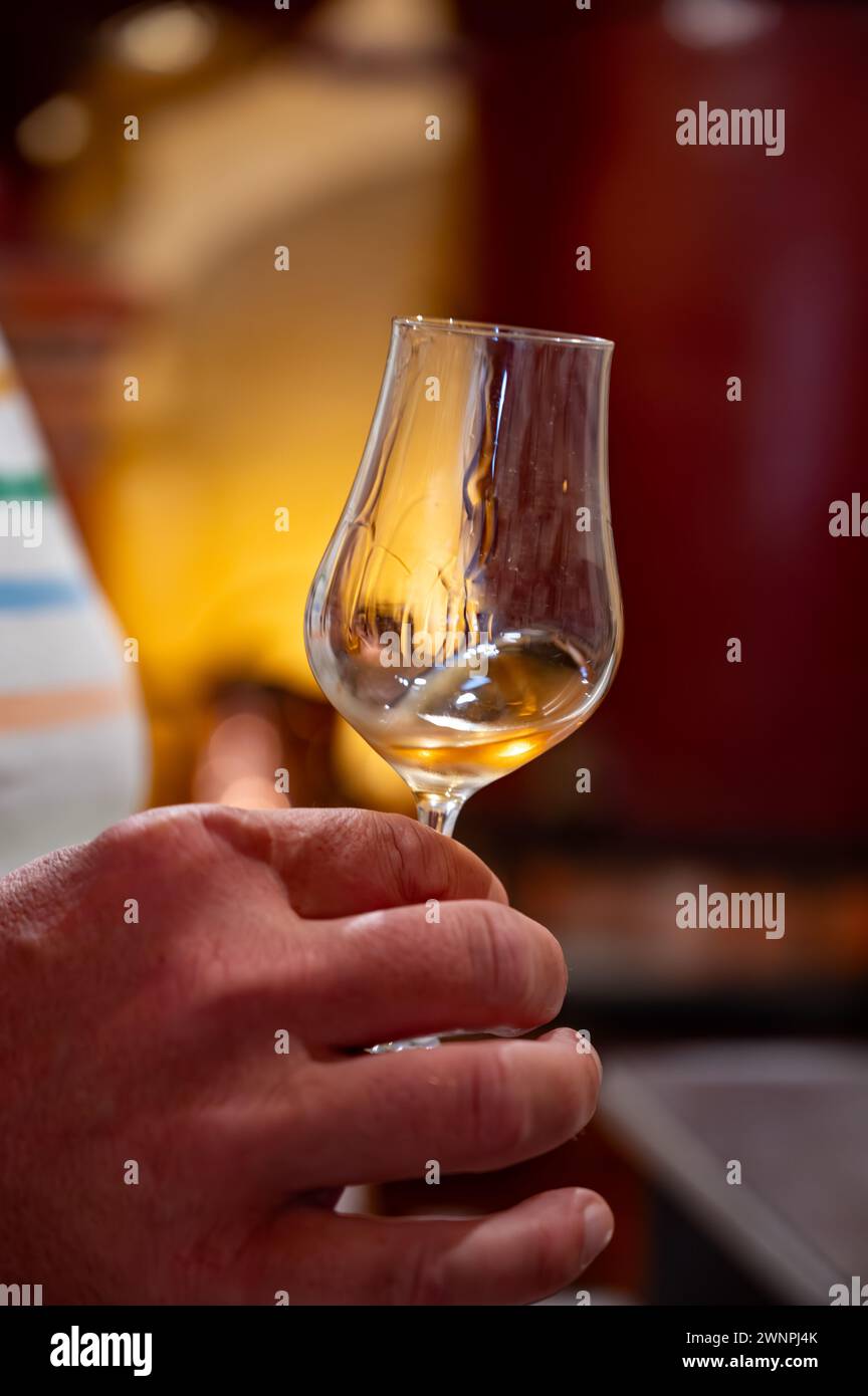 Tasting of cognac spirit aged in old dark French oak barrels in cellar ...