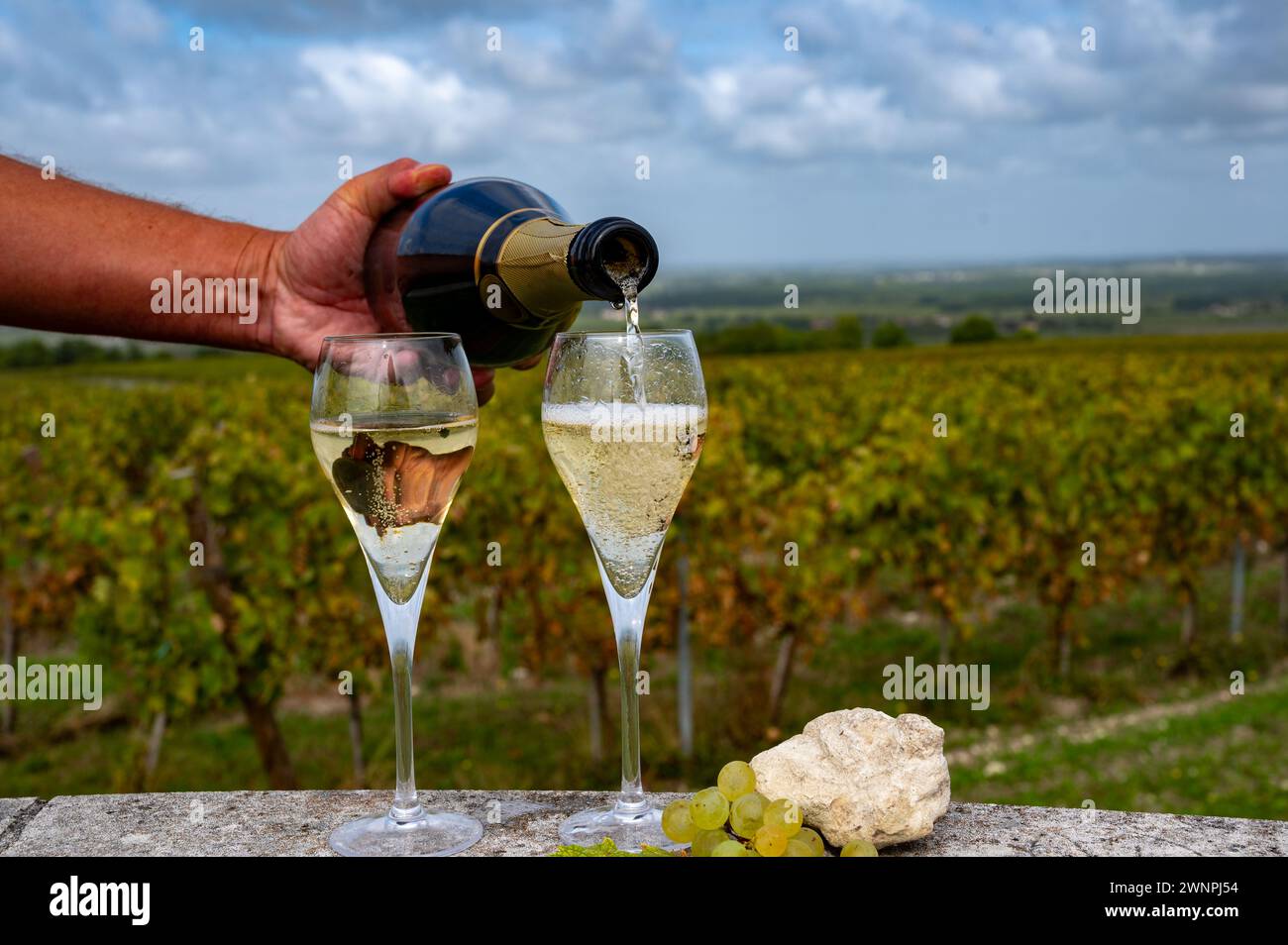 Tasting of grand cru sparkling white wine with bubbles champagne on ...