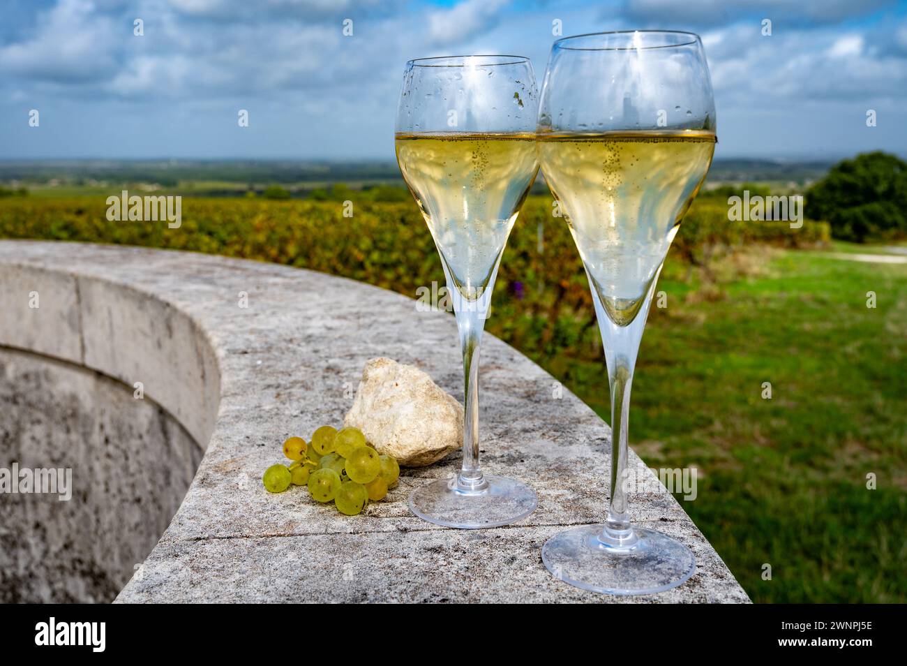Tasting of grand cru sparkling white wine with bubbles champagne on ...