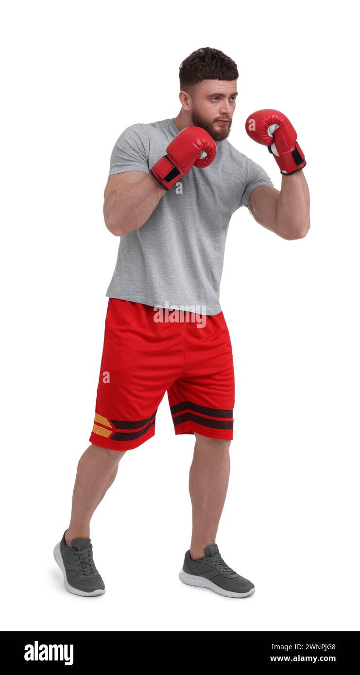 Man in boxing gloves on white background Stock Photo - Alamy
