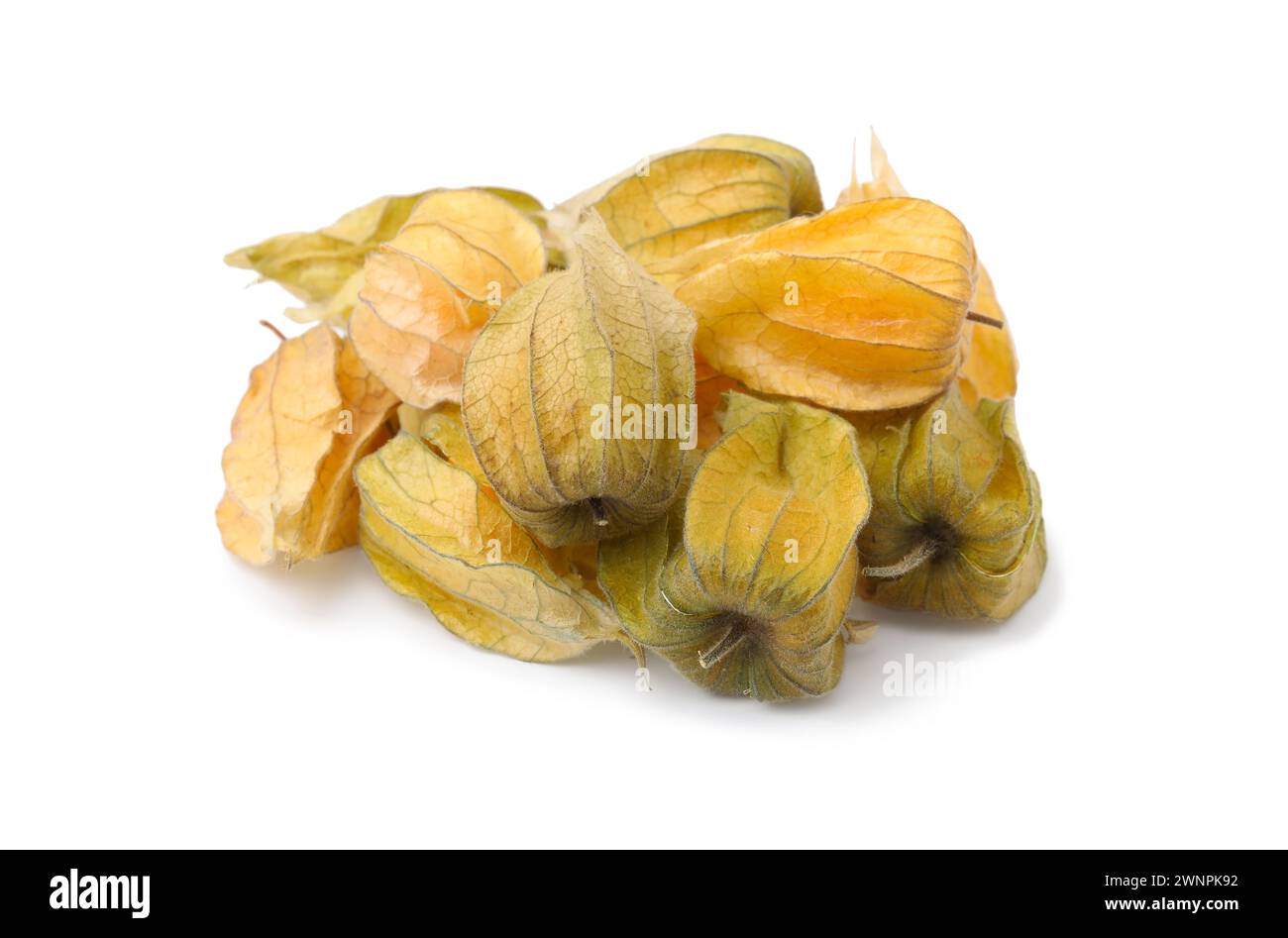 Many ripe physalis fruits with calyxes isolated on white Stock Photo ...