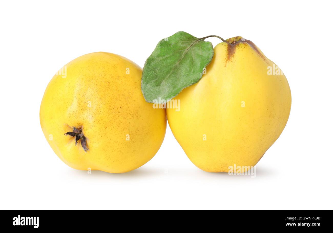 Fresh ripe quince fruits hi-res stock photography and images - Alamy