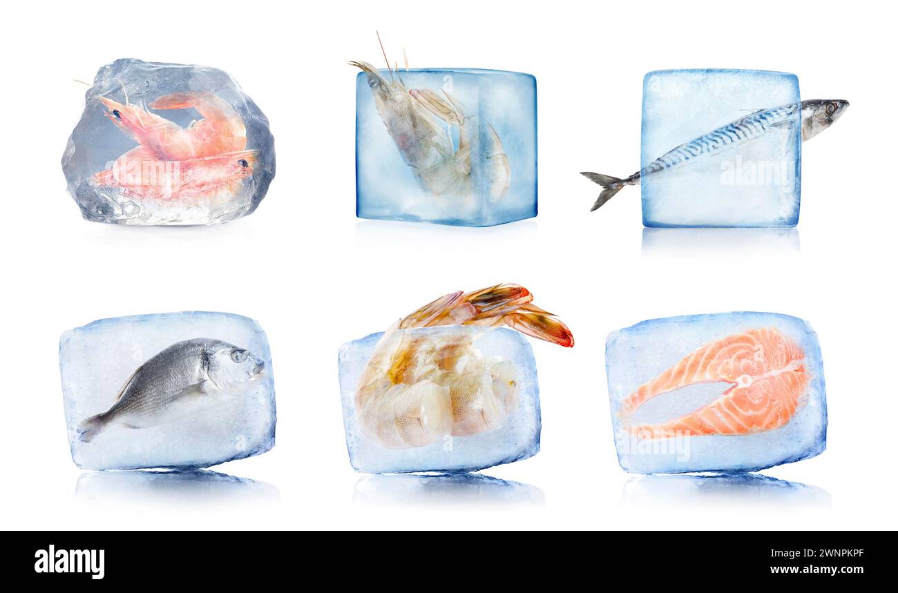 Frozen food. Different seafood in ice cubes isolated on white, set ...