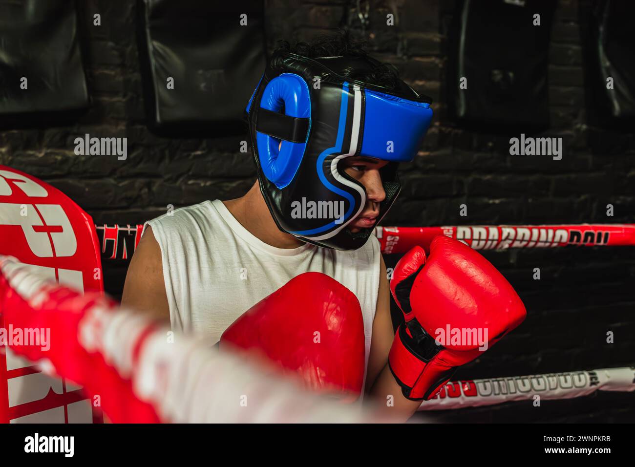 Boxing sport ready sparring hi-res stock photography and images - Alamy