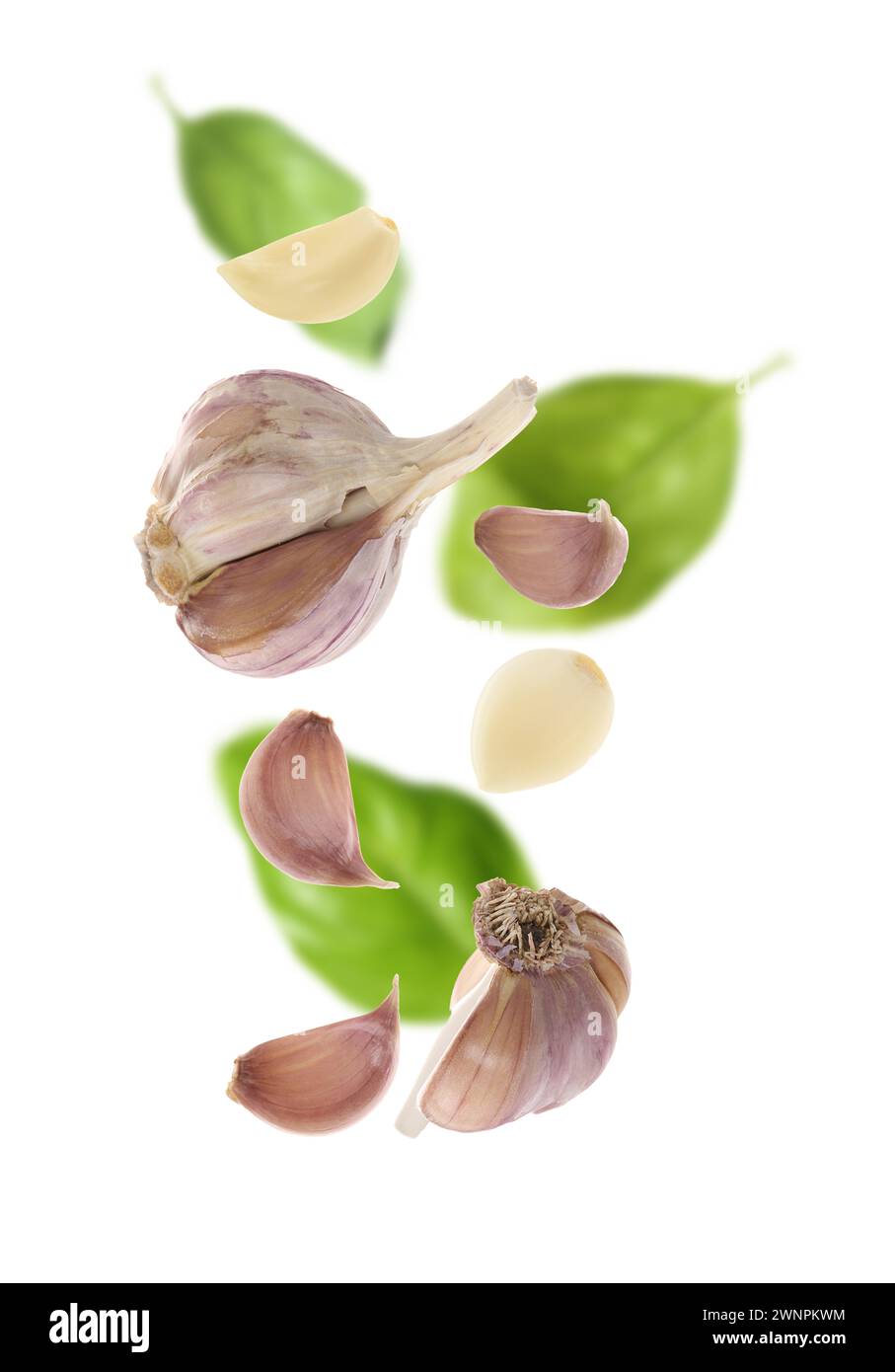 Fresh garlic and basil falling on white background Stock Photo - Alamy